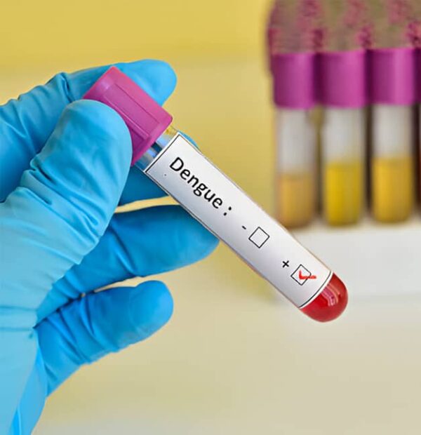 Moustique de la Dengue : Protégez-vous efficacement