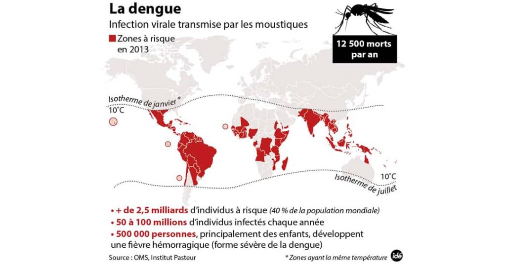 Moustique de la Dengue : Protégez-vous efficacement